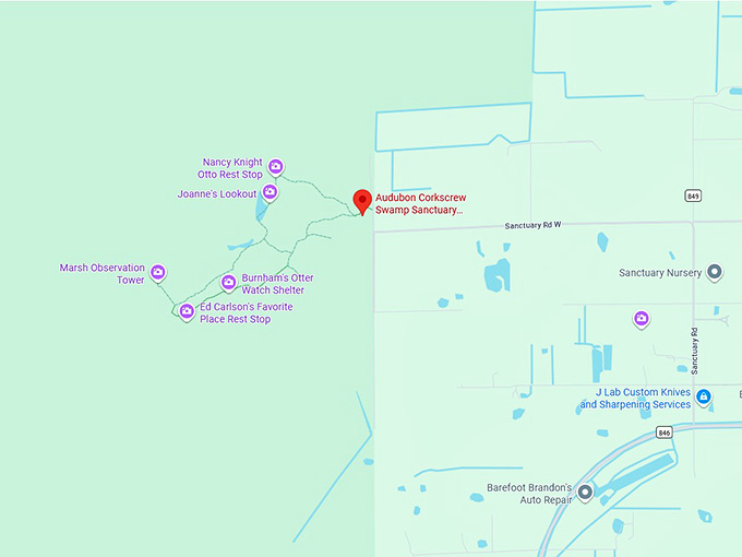 16. audubon corkscrew swamp sanctuary map