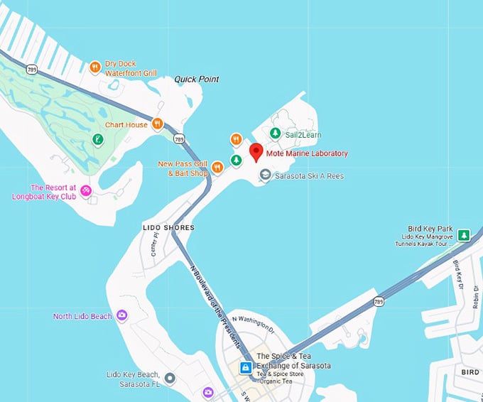 16. molly the mollusk in sarasota map