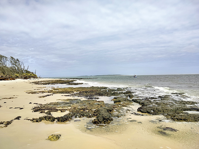 The pristine beach at Talbot Island stretches for miles, with natural vegetation and few footprints disturbing the sand.