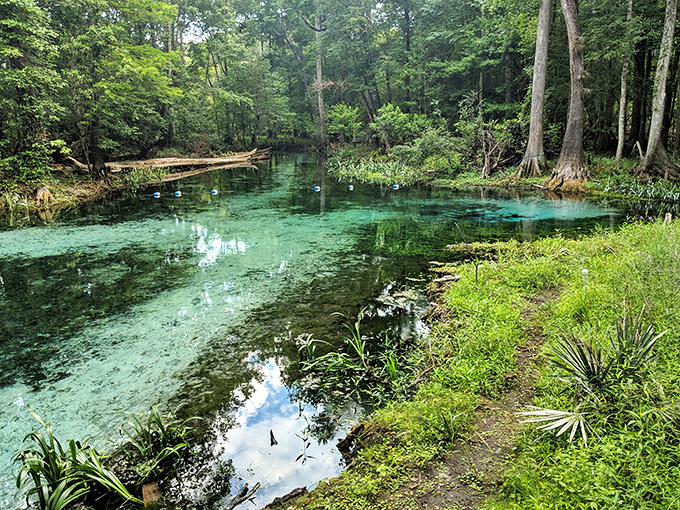 Crystal-clear turquoise water winds quietly through a lush forest, creating a peaceful hideaway perfect for slowing down and soaking in nature&rsquo;s calm.
