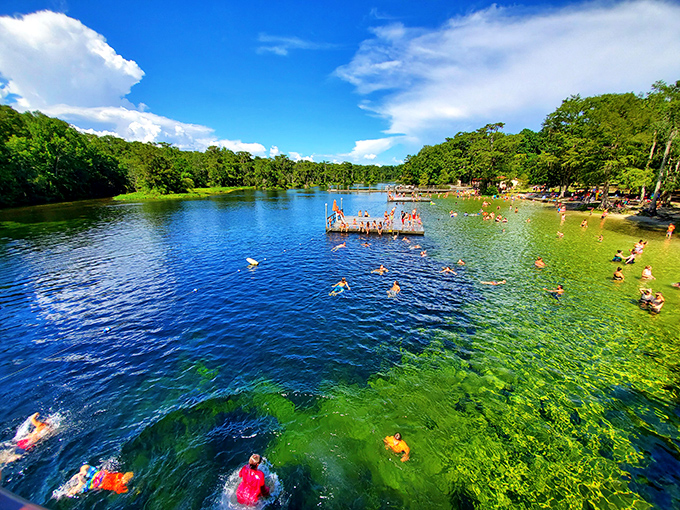 A wooden dock extends into the waters of Wakulla Springs, where visitors can jump into the refreshing spring water.