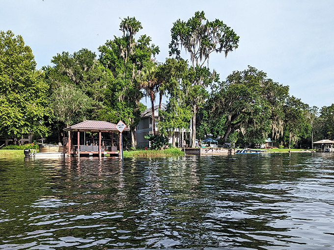 The calm waters of Crystal River reflect the surrounding trees and sky, creating a peaceful scene for paddlers.