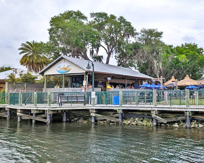 Cracker's waterfront perch in Crystal River looks like it was plucked straight from a postcard &ndash; wooden dock, swaying palms, and all.