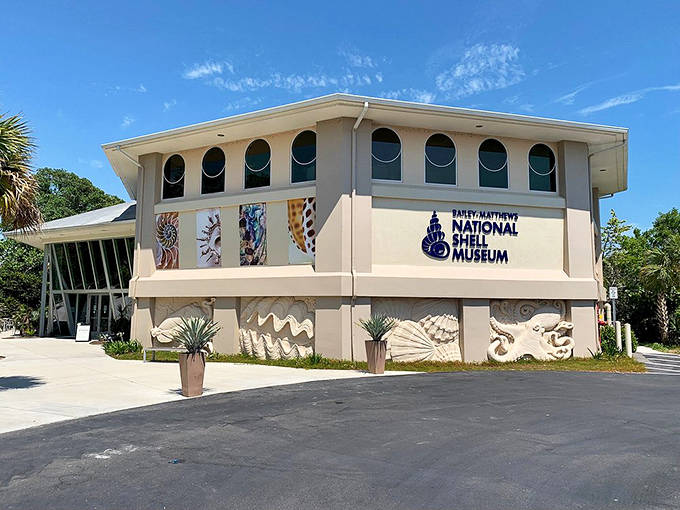 The Bailey-Matthews National Shell Museum stands proudly on Sanibel Island, its facade adorned with artistic shell motifs that hint at the treasures within.