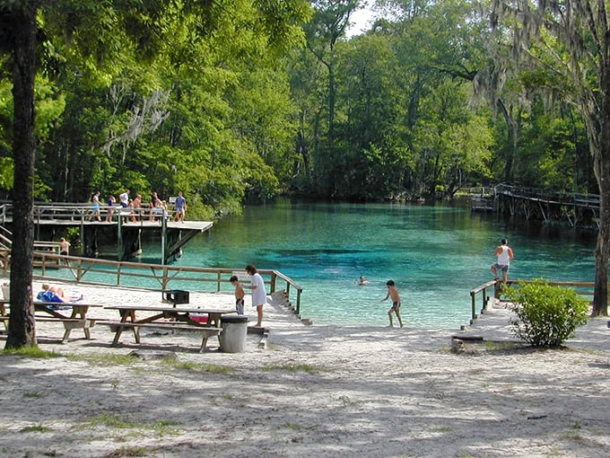 Gilchrist Blue's crystal waters invite visitors to plunge into nature's swimming pool, where every ripple tells a story of underground springs.