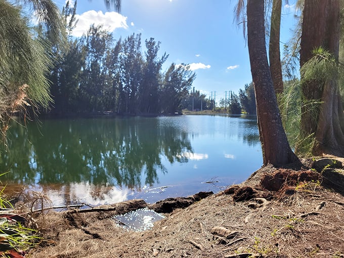 Wolf Lake's mirror-like waters create perfect reflections of Florida's blue skies and whispering pines. Nature's own infinity pool!