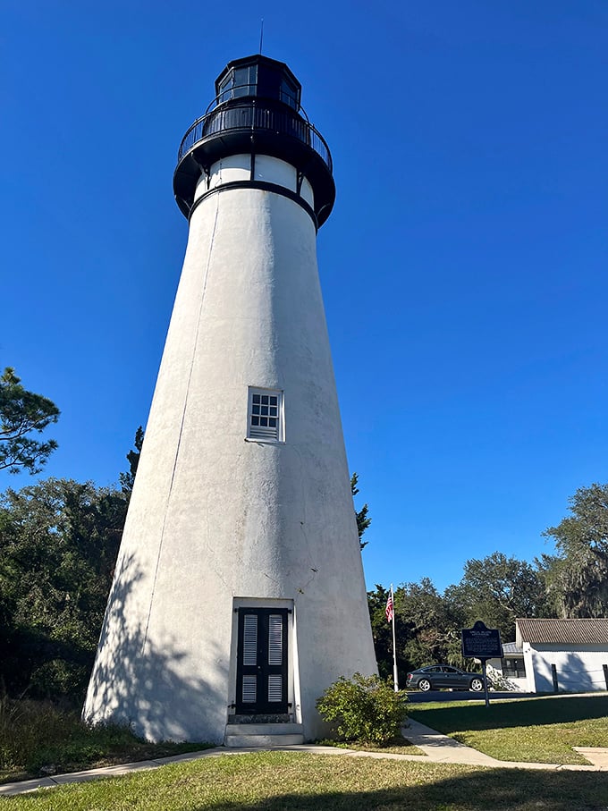 A closer view of Amelia Island Light showcases its pristine white exterior and black lantern room, surrounded by Florida's natural greenery.