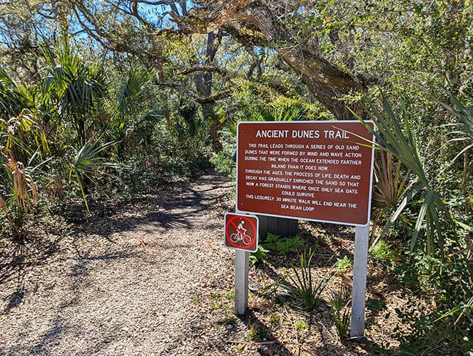 The Ancient Dunes Trail sign welcomes hikers to explore sand hills formed when dinosaurs still roamed the earth.