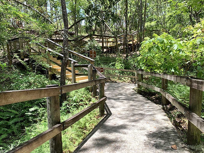A wooden boardwalk winds through the verdant forest at Falling Waters, leading adventurers to hidden natural treasures.
