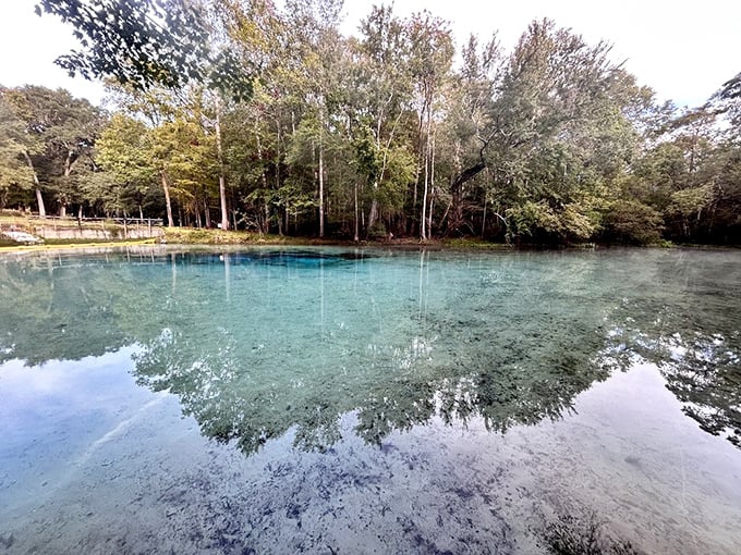 The mirror-like surface of Gilchrist Blue Springs reflects towering trees, creating a perfect symmetry between water and sky.