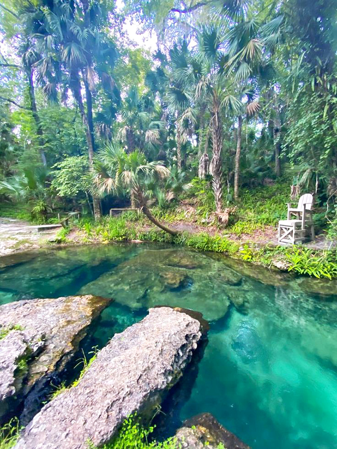 A lifeguard chair stands sentinel over the emerald-blue waters of Ginnie Springs, where palm trees create a tropical oasis.