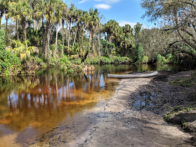 A peaceful canoe rests on the sandy shore of Little Manatee River, with palm trees creating nature's perfect Florida postcard.