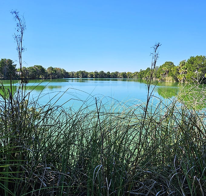 Crystal clear spring waters create a mirror-like surface, reflecting the surrounding trees in perfect symmetry at Three Sisters Springs.