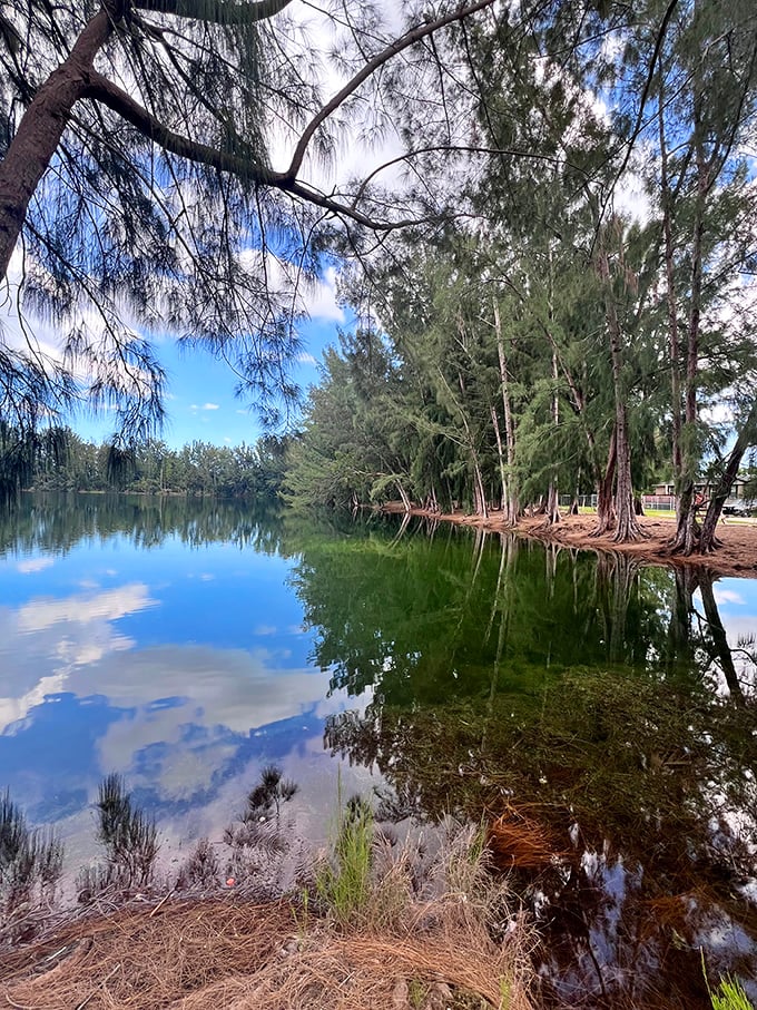Tall pines stand sentinel around Wolf Lake, their roots reaching toward waters so clear you can count the fish swimming below.