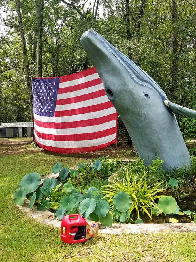 This gentle giant rises from the earth like hope emerging from tragedy, reminding us that beauty can spring from sorrow.