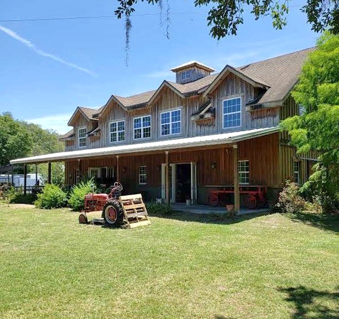 The rustic barn stands proud like a weathered sentinel, welcoming visitors to a slice of authentic farm life.