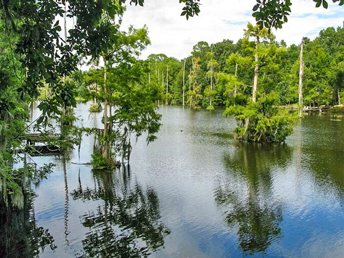 These dark waters gave the park its name and provide habitat for wildlife that's been here longer than any of us.