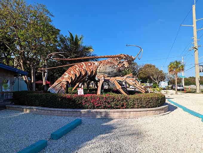 From this angle, Betsy's impressive engineering becomes clear—every segment, every detail crafted to capture the essence of Keys marine life at supersized scale.