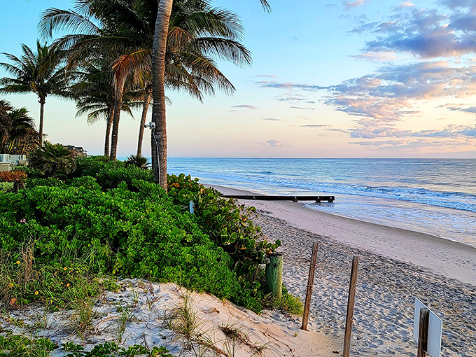 Palm trees frame the perfect sunset view along Vero's shoreline &ndash; no filter needed when Mother Nature provides this kind of spectacle daily.