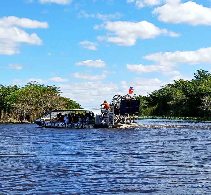 The covered airboat offers shade from the relentless Florida sun while you cruise through one of America's most unique ecosystems in surprising comfort.