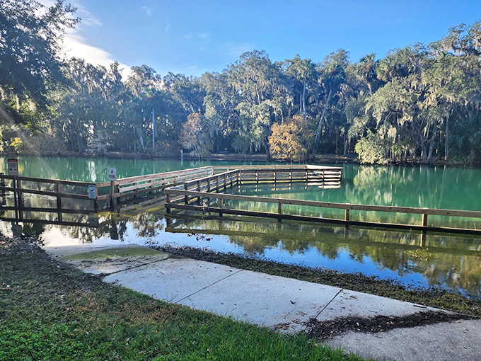 This wooden deck isn't just a viewing platform &ndash; it's front-row seating to nature's greatest show, no tickets required.