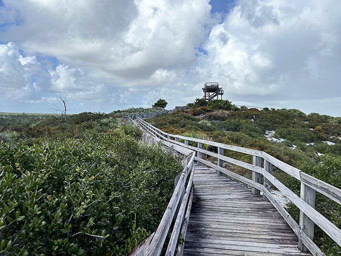 This wooden pathway seems to float above the landscape, inviting adventurers to discover what lies beyond each gentle curve.