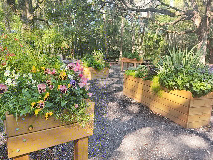 These wooden planters burst with color like nature's jewelry boxes &ndash; proof that Florida knows how to accessorize its gardens beautifully.