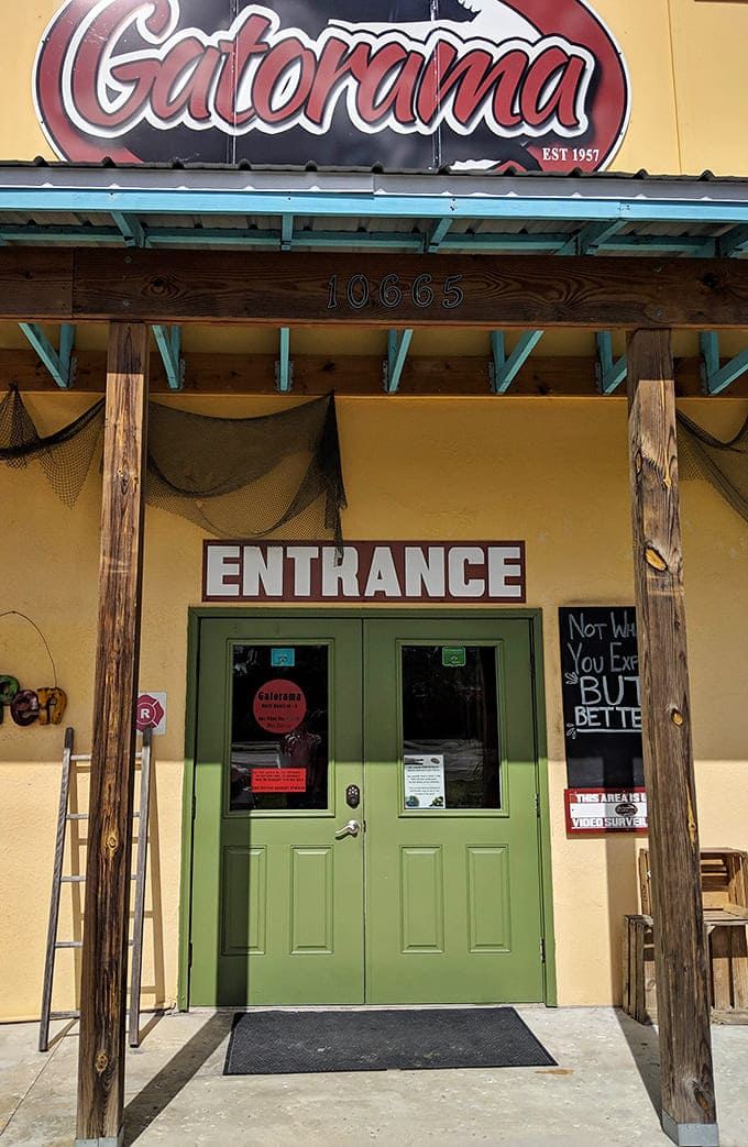 Those green doors are your gateway to Old Florida, where the wildlife still runs the show and tourists are just polite visitors.