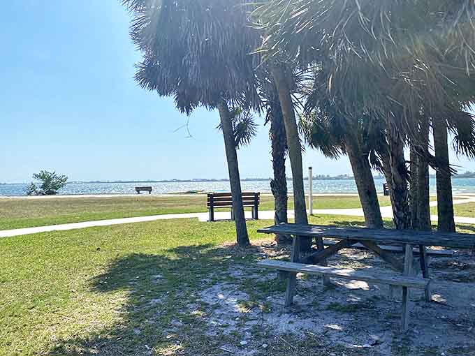 Indian Mound Park offers a peaceful retreat where ancient history meets natural beauty along Lemon Bay's tranquil shores.