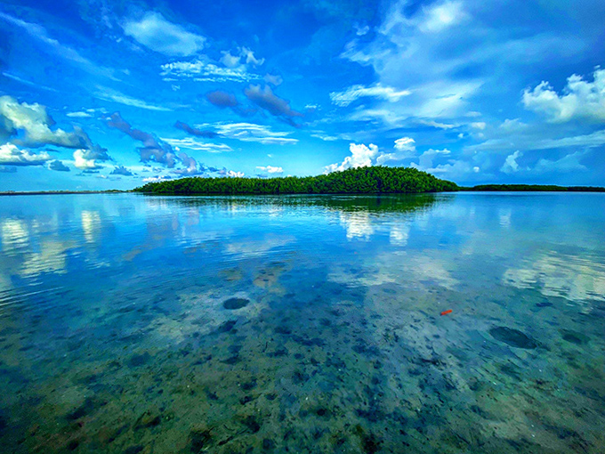 When the water's this calm and clear, you're basically looking at two worlds for the price of one, like nature's own buy-one-get-one deal.