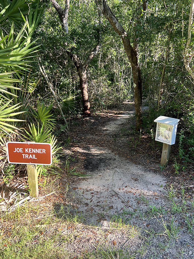Nature's air conditioning awaits on the Joe Kenner Trail, where dappled sunlight filters through a canopy of maritime forest.