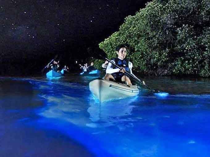 Night transforms into nature's light show as paddlers glide through waters illuminated by millions of microscopic organisms, creating a surreal blue glow.
