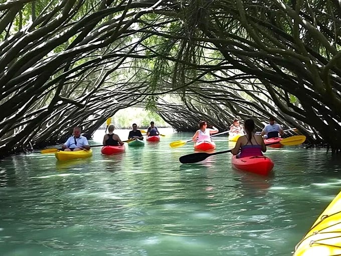 Kayaking: Gliding through nature's secret passages, these kayakers discover the joy of mangrove tunnels &ndash; Florida's version of Venice, minus the gondoliers.