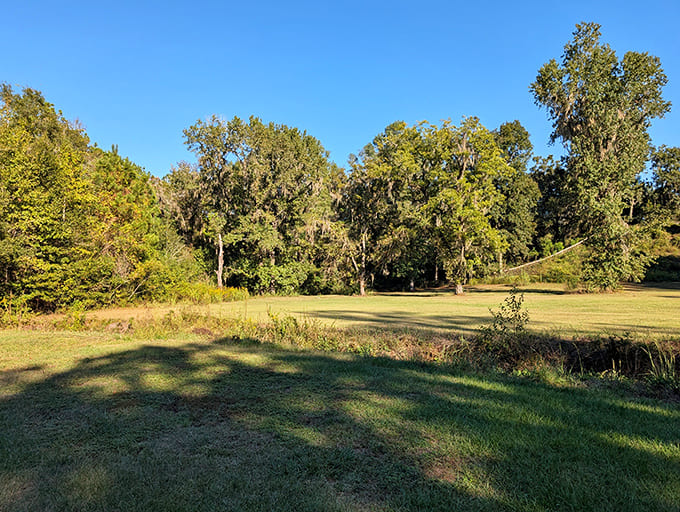 This sweeping view shows just how much green space surrounds the mounds, perfect for contemplating history or planning your picnic strategy.
