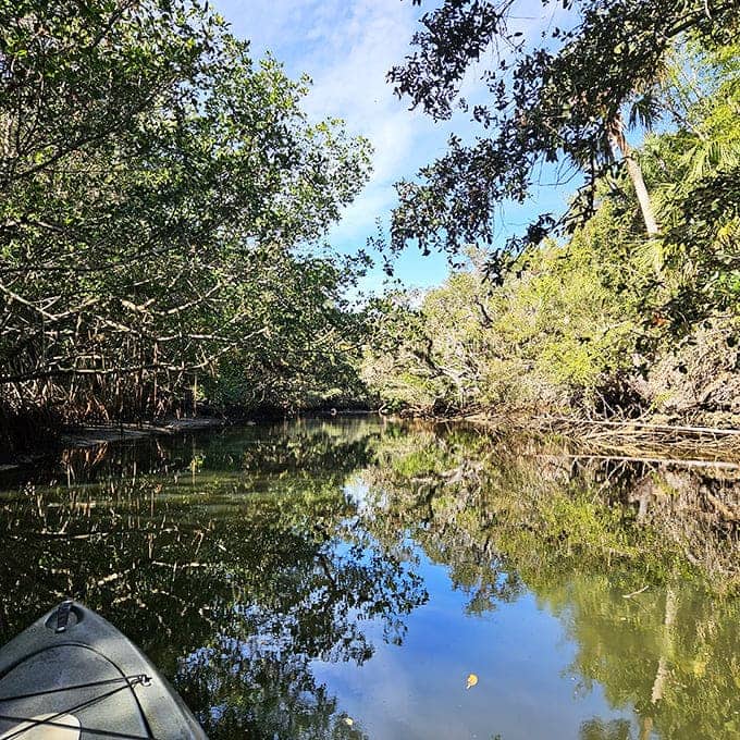 Nature's mirror reflects a sky so blue it makes you wonder why anyone bothers with Instagram filters.