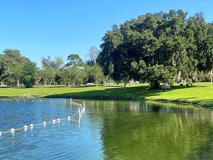 The natural swimming pool beckons with its crystal-clear waters, like nature's version of a luxury resort minus the overpriced cocktails.