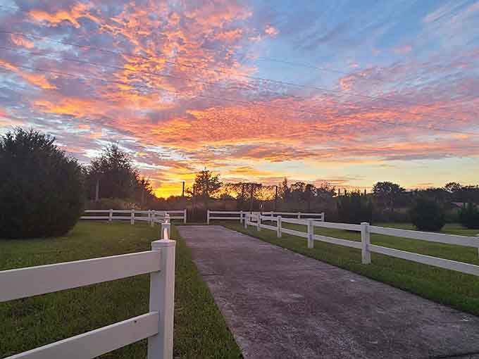 That sunset-painted driveway isn't just an entrance, it's nature's way of rolling out the red carpet for your next adventure.