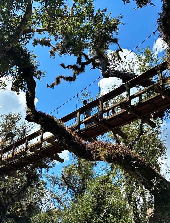 This elevated walkway offers views that'll make your social media followers seriously jealous of your weekend plans.