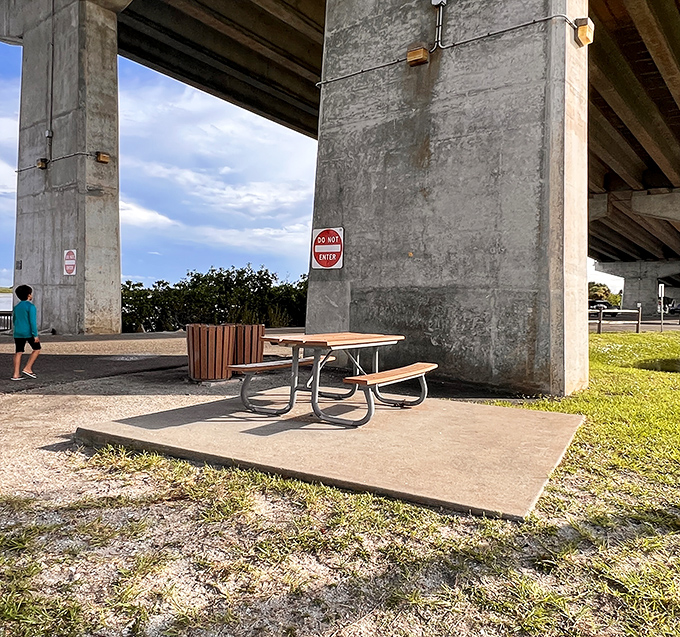 Under the concrete giants of the Dunlawton Bridge, this humble picnic area transforms ordinary sandwiches into waterfront dining experiences worth writing home about.