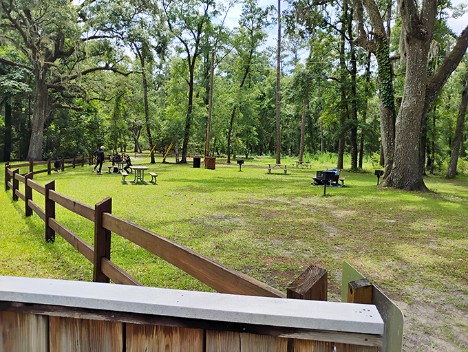Picnic paradise under ancient oaks, where squirrels might judge your sandwich choices but the setting couldn't be more perfect.