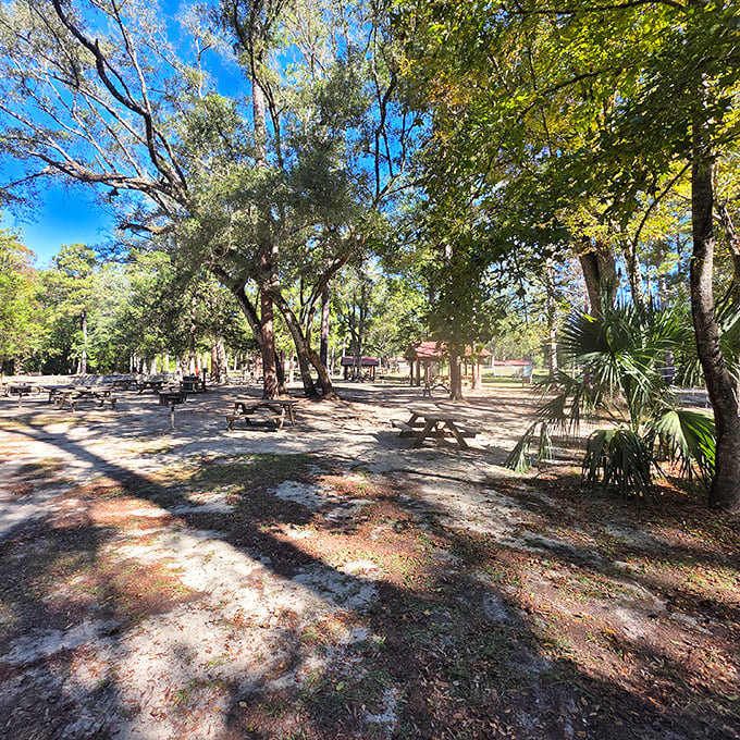 Shaded picnic areas nestled among towering pines offer the perfect spot to enjoy lunch between refreshing dips.