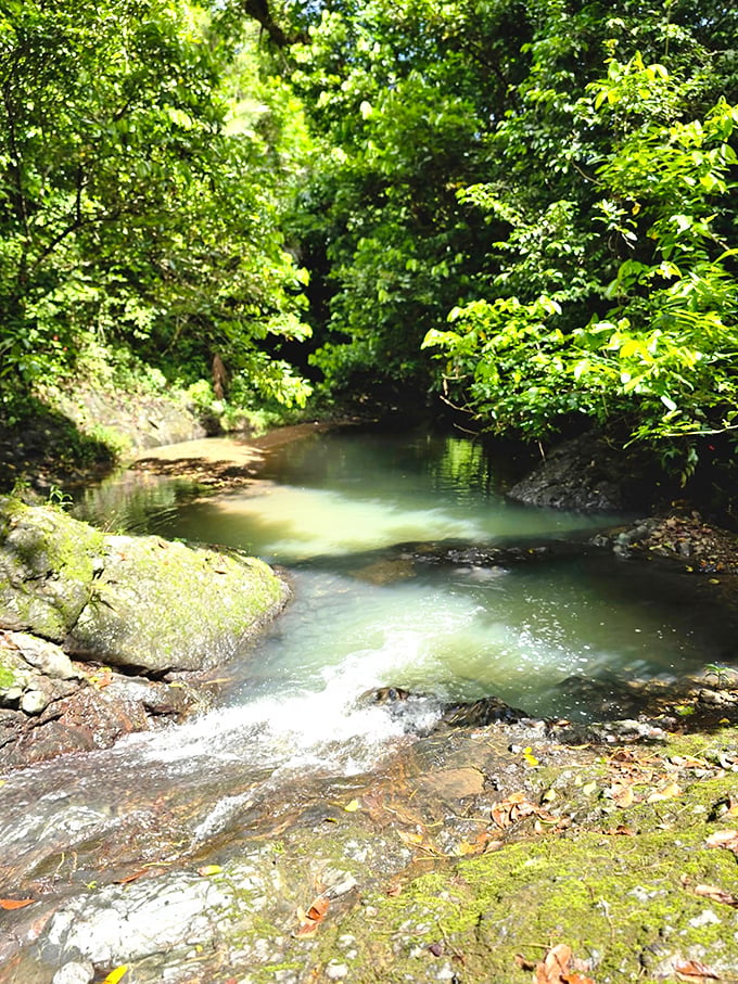 Crystal-clear waters reveal a hidden world beneath the surface &ndash; nature's aquarium where fish dart between sunbeams like living jewels.