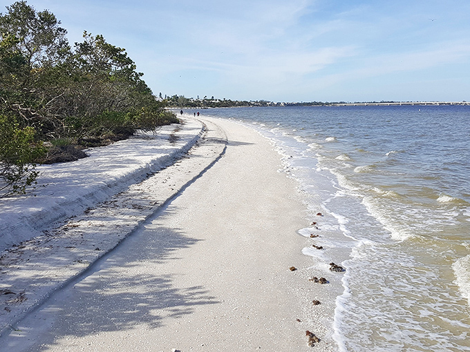 Sandy beach: The gentle curve of Sanibel's shoreline creates nature's perfect shell-catching mitt, where treasures await the early bird.