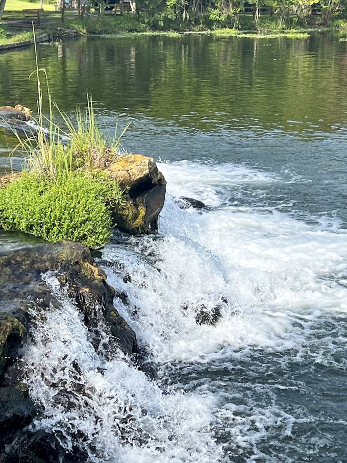 Water tumbles over ancient limestone, creating nature's soundtrack. This mini-waterfall has been performing its soothing melody for thousands of years.