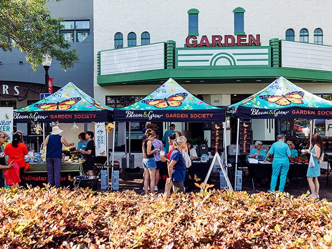 Vendor booths line the streets beneath cheerful striped canopies, creating a marketplace that would make any garden lover's heart skip a beat.