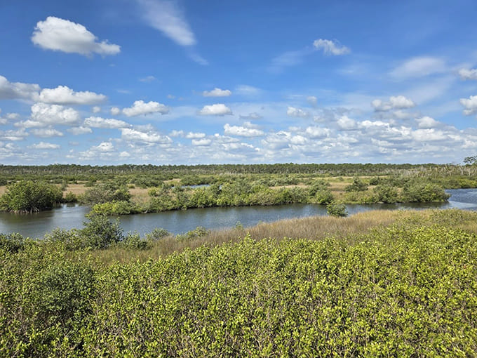 Where water meets land and everything in between creates the kind of view that makes screensavers jealous of real life.