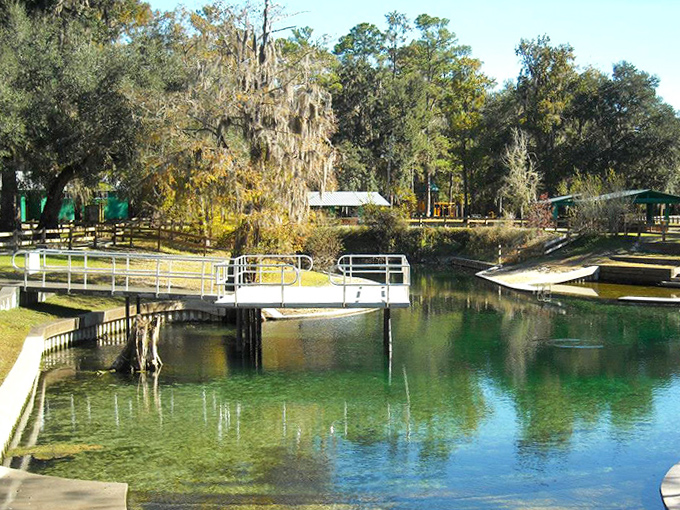 Wooden pathways guide explorers through lush Florida wilderness, promising discoveries around every sun-dappled turn.