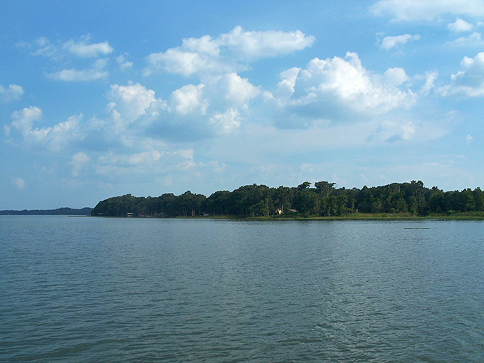 The western shore of Lake Harris, where civilization takes a polite step back to let Mother Nature do her thing.