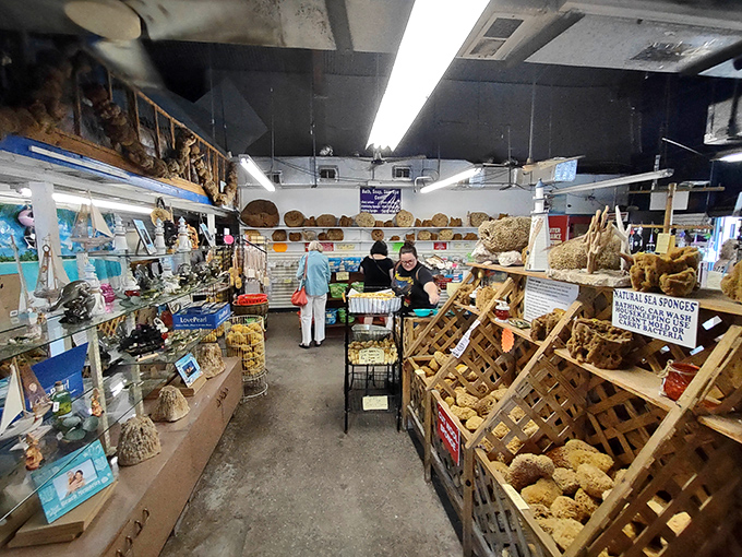 Inside the factory, wooden crates overflow with natural sponges of every shape and size, creating a tactile wonderland for curious visitors.