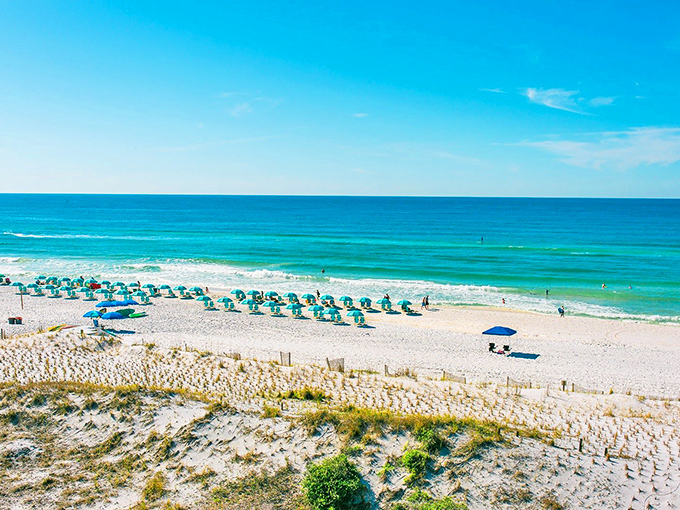 Beach umbrellas dot the pristine shoreline like colorful exclamation points, each one marking a perfect spot for soaking up the Florida sunshine.